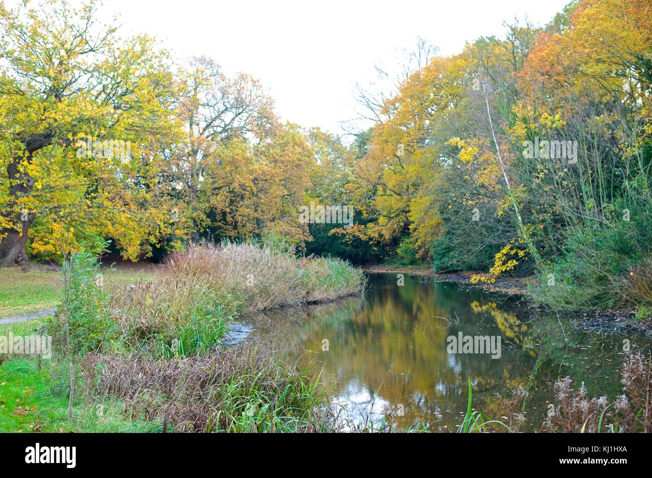 Osterley Park, Hounslow Stock Photo - Alamy
