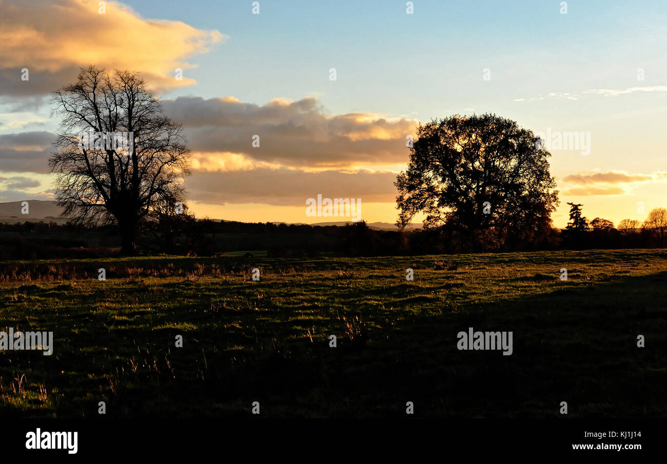 Autumn Sunset on a pasture in the Scotland Stock Photo - Alamy