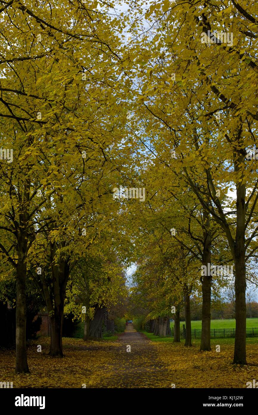 Osterley Park, Hounslow Stock Photo - Alamy