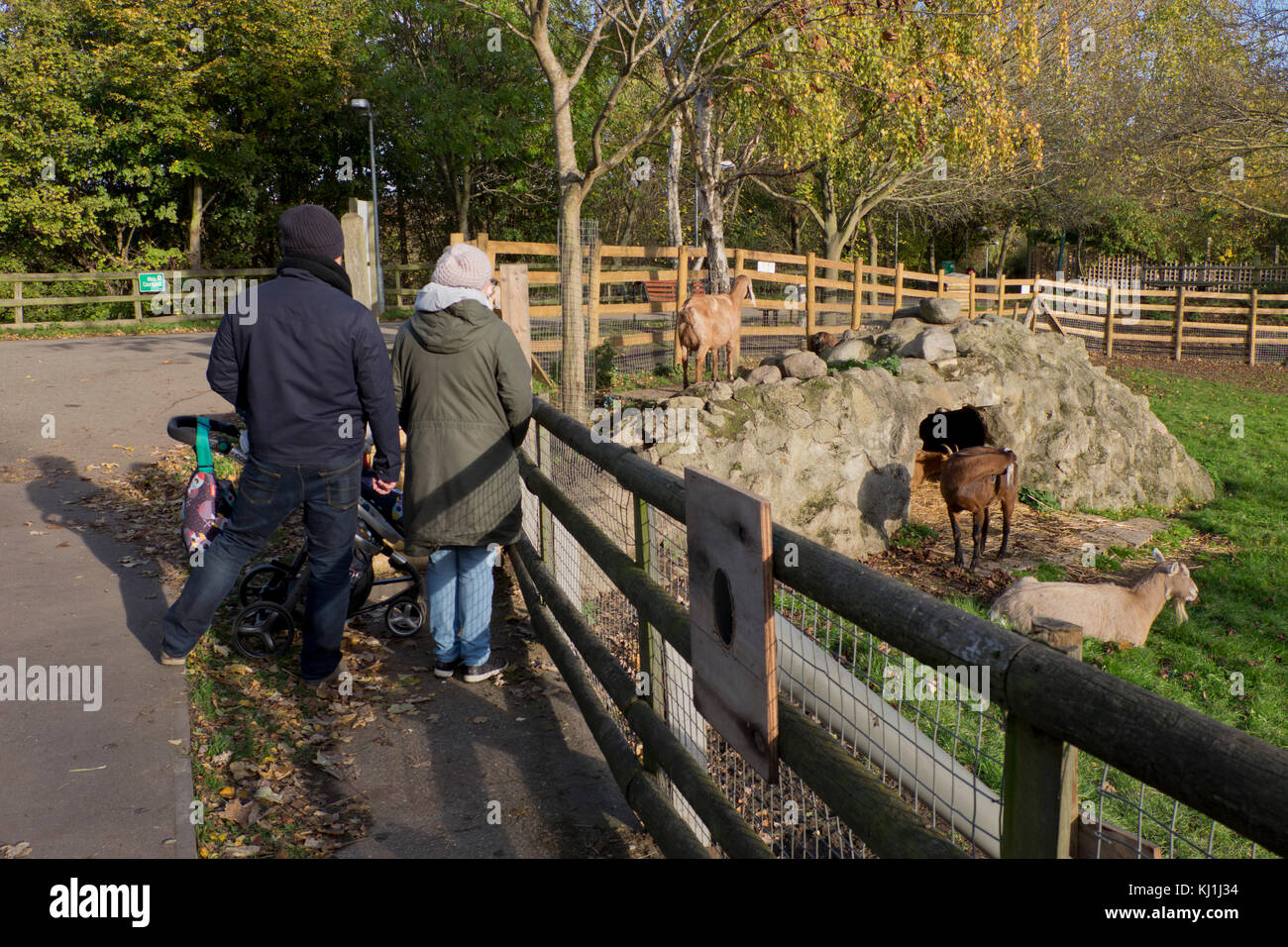 Mudchute City Farm in Docklands, with Canary Wharf banking HQ ...