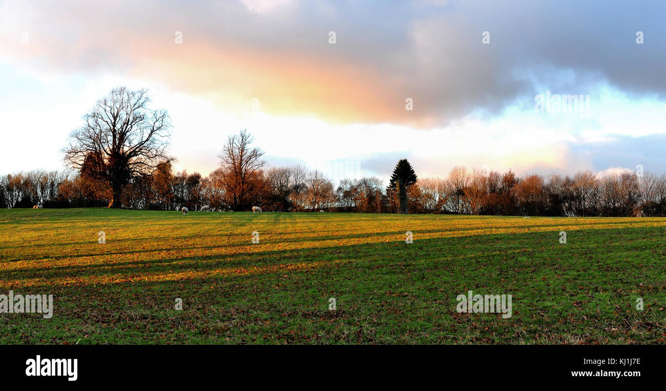 Countryside Landscape Scottish Pasture Agricultural Stock Photo - Alamy