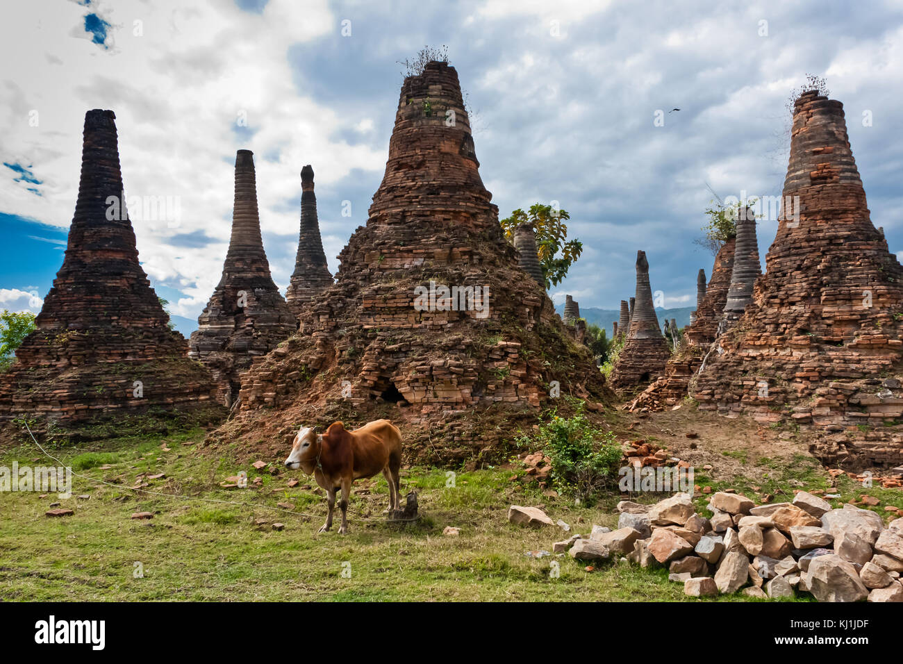 Myanmar ancient animal hi-res stock photography and images - Alamy