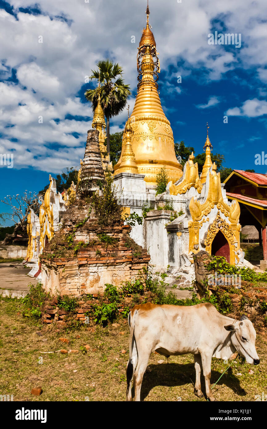 Myanmar ancient animal hi-res stock photography and images - Alamy