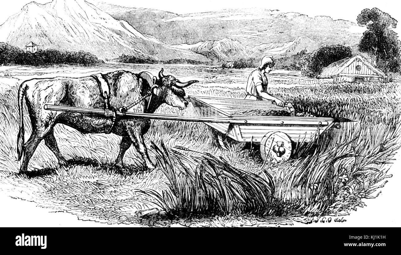 Roman farming hi-res stock photography and images - Alamy