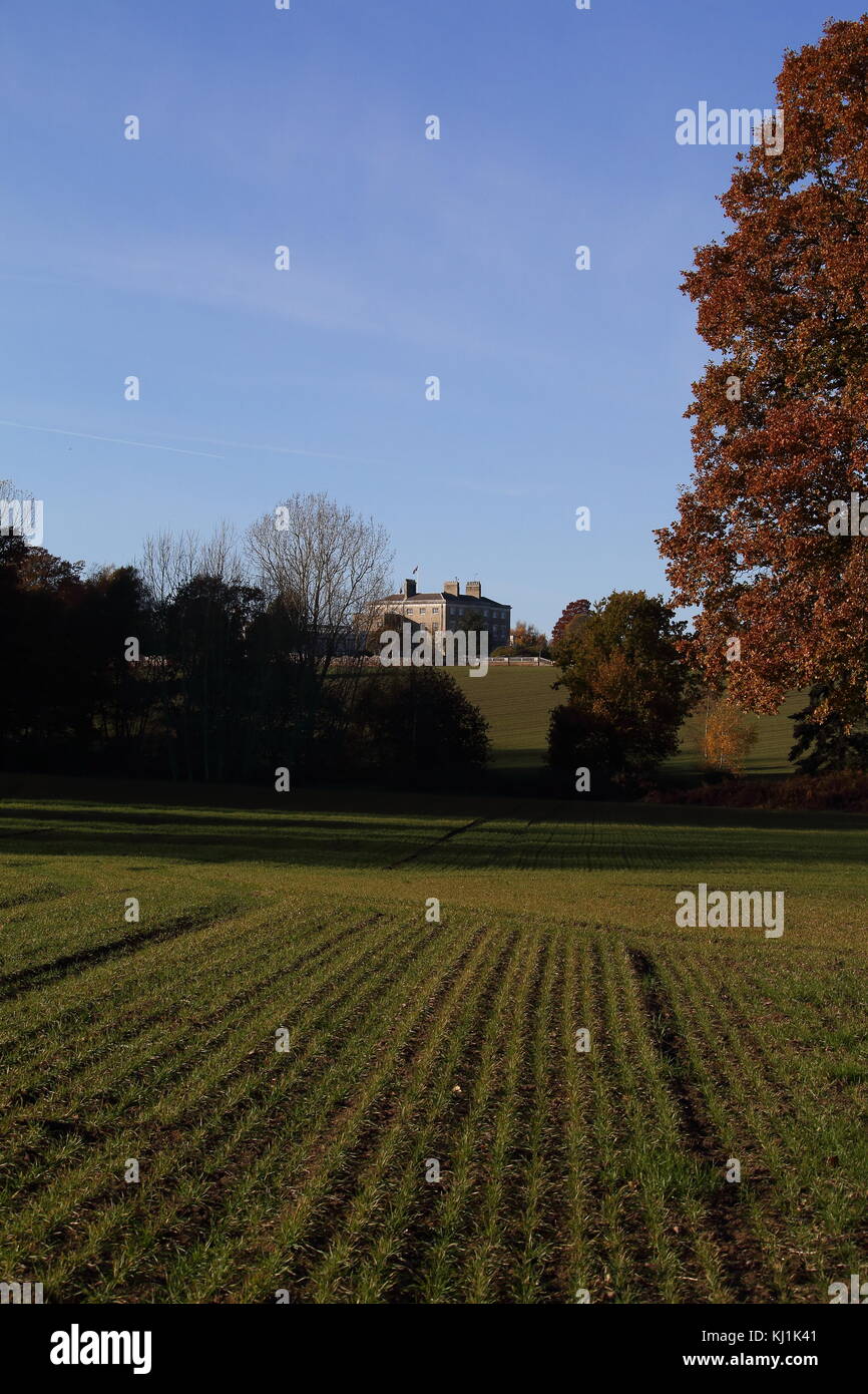 Walking near the river Orwell Suffolk Stock Photo - Alamy