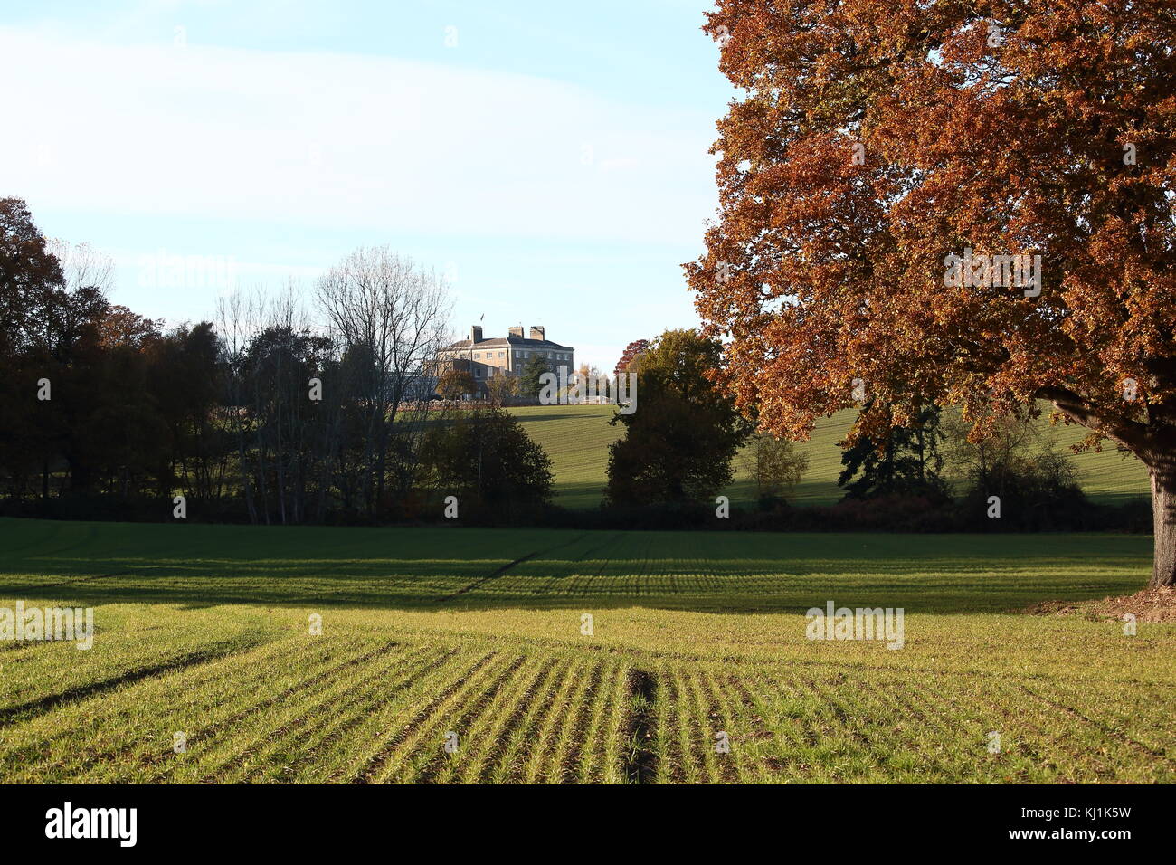 Walking near the river Orwell Suffolk Stock Photo - Alamy