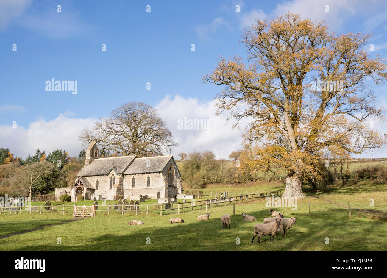 Church of St Mary in autumn light, Hopton Castle, shropshire, England ...