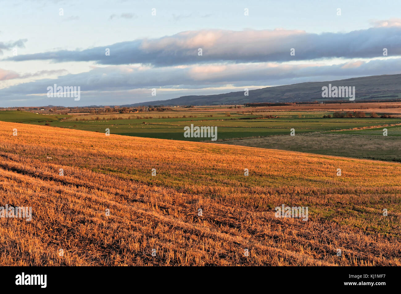 Countryside Landscape Scottish Pasture Agricultural Stock Photo - Alamy