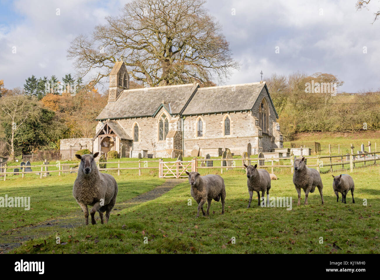 Church of St Mary in autumn light, Hopton Castle, shropshire, England ...
