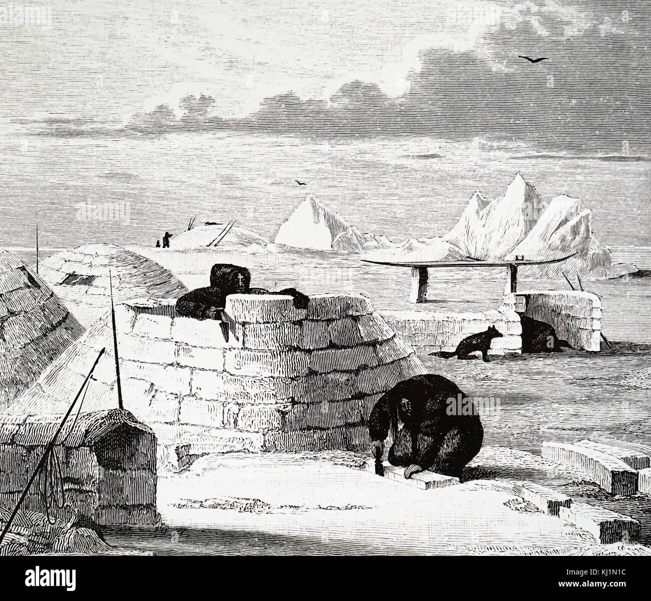 Engraving depicting an Eskimo making an igloo. The Eskimo are the ...
