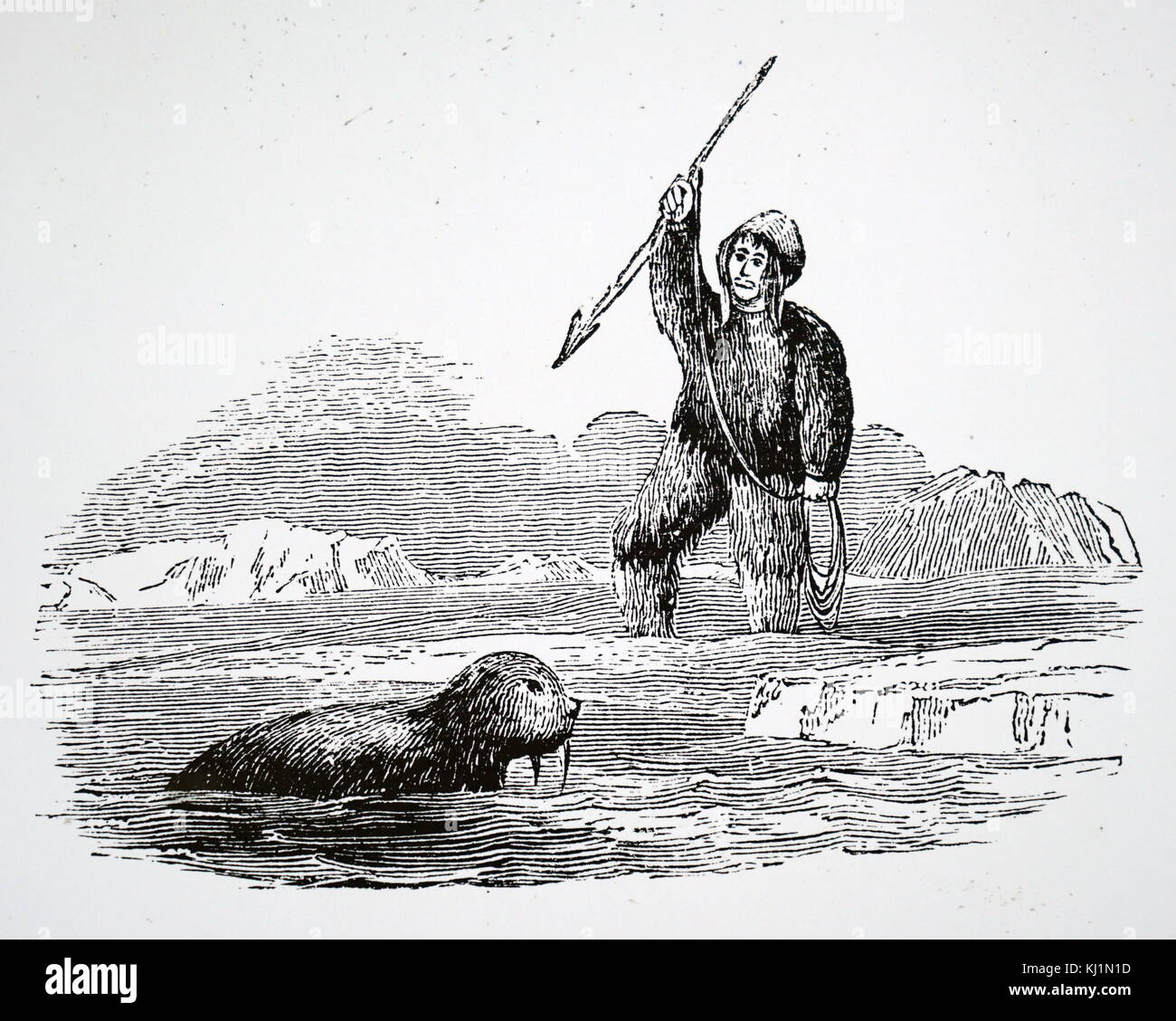 Inuit Seal Hunting