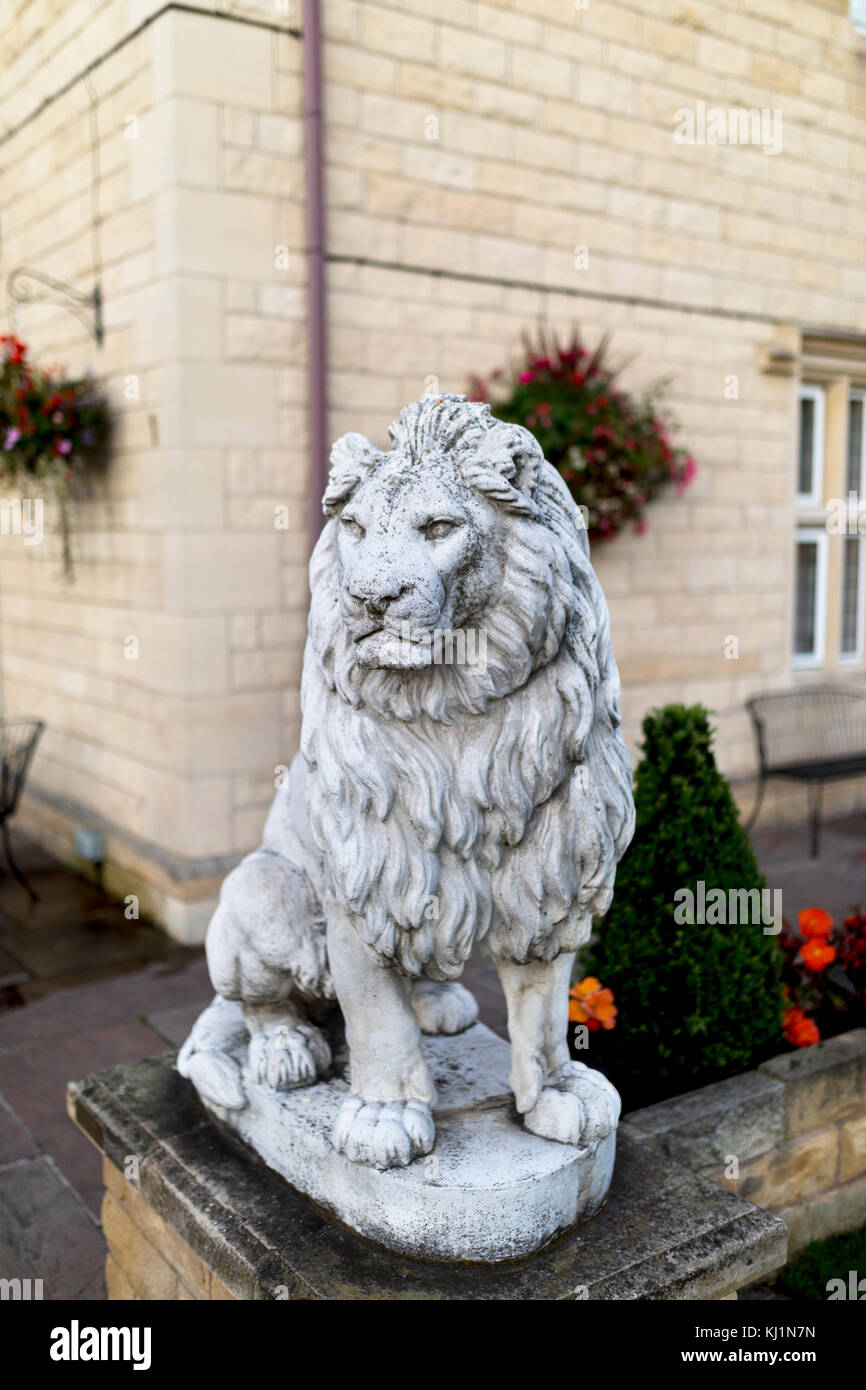 Portrait of a noble and regal male lion stone statue in a stately home ...