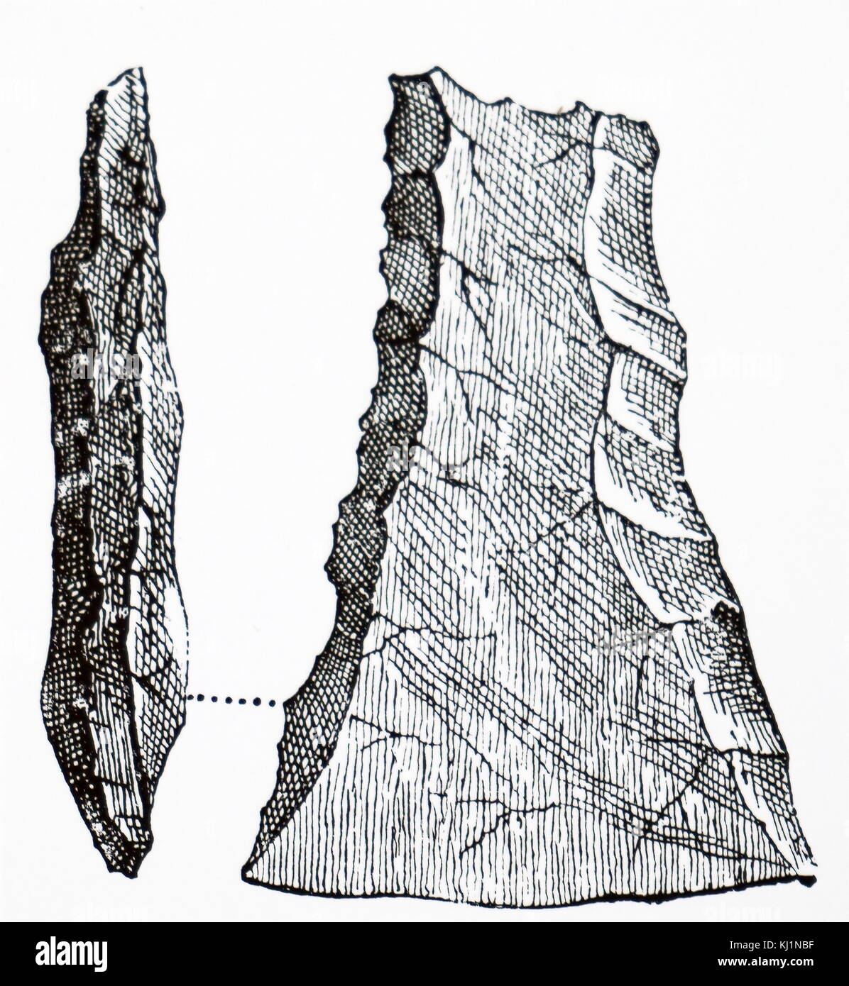 Engraving depicting Neolithic flint wedge shaped Celt. Dated 19th ...