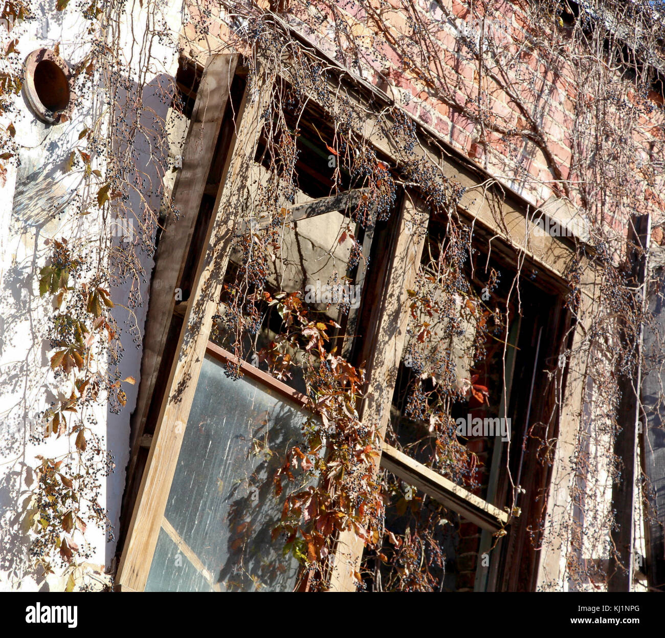 Building Collapsing Stock Photos & Building Collapsing Stock Images - Alamy