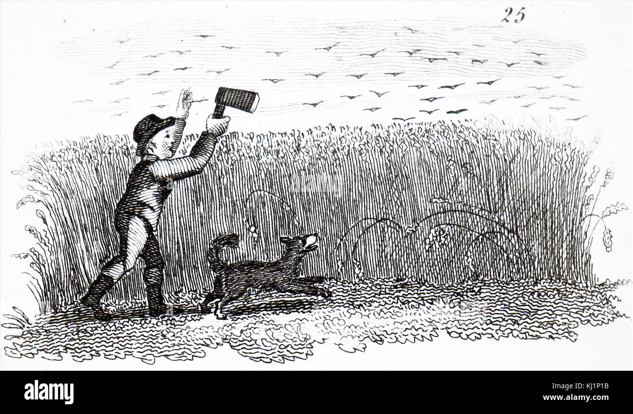 Engraving depicting a young boy using a Clack, Rattle or Whizzer, a ...