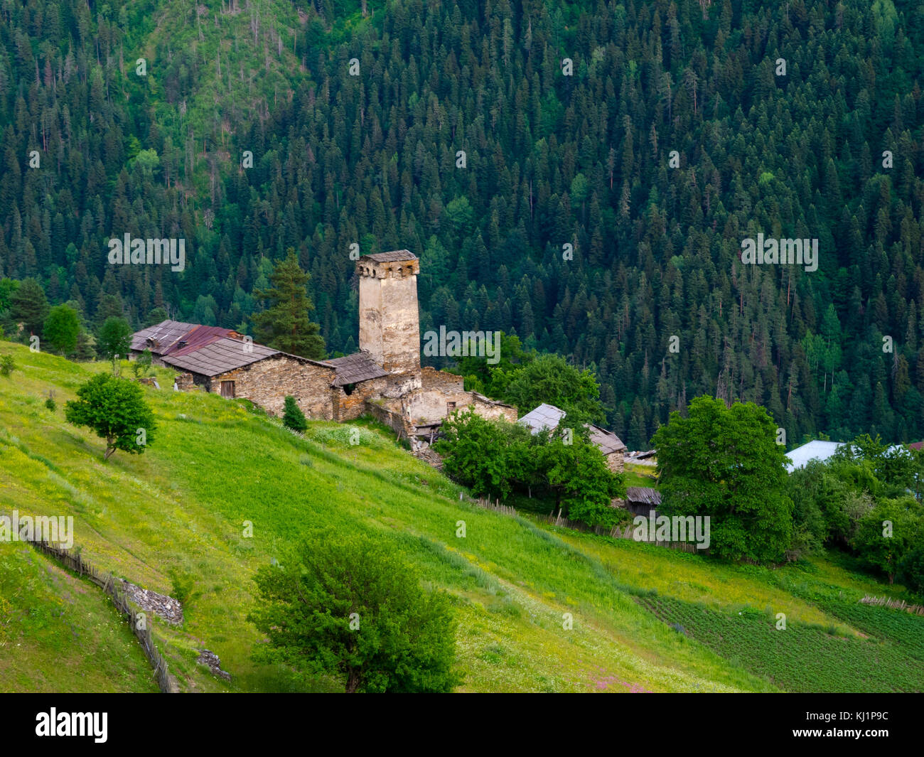 Landscape of Ieli village in Svaneti Stock Photo - Alamy
