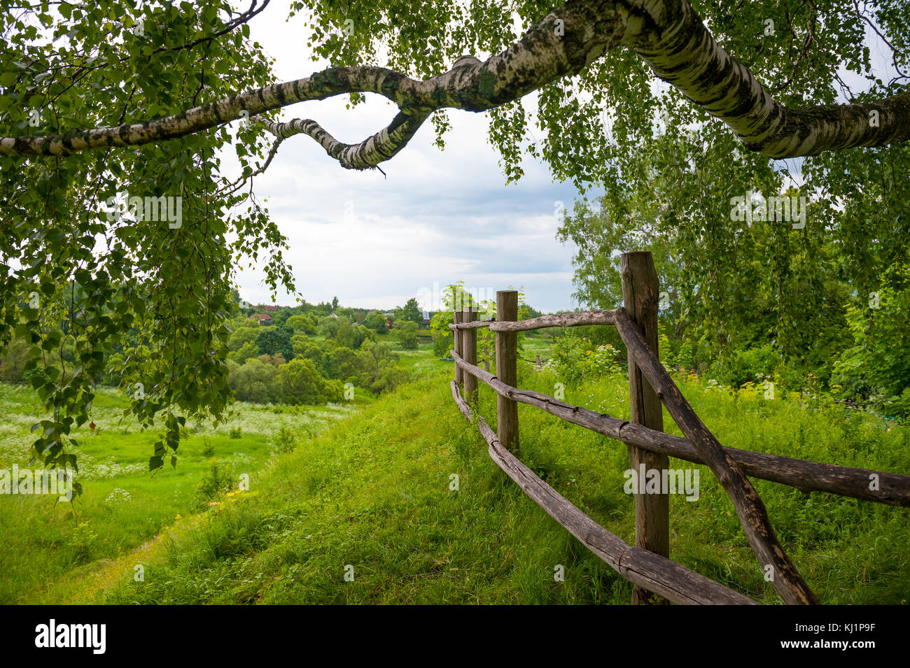 Typical Russian landscape Stock Photo - Alamy