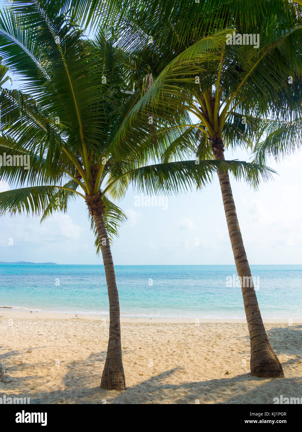 Untouched tropical beach Stock Photo - Alamy
