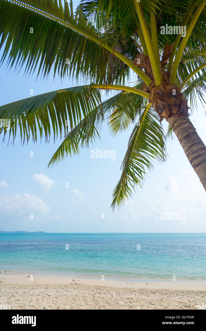 Untouched tropical beach Stock Photo - Alamy