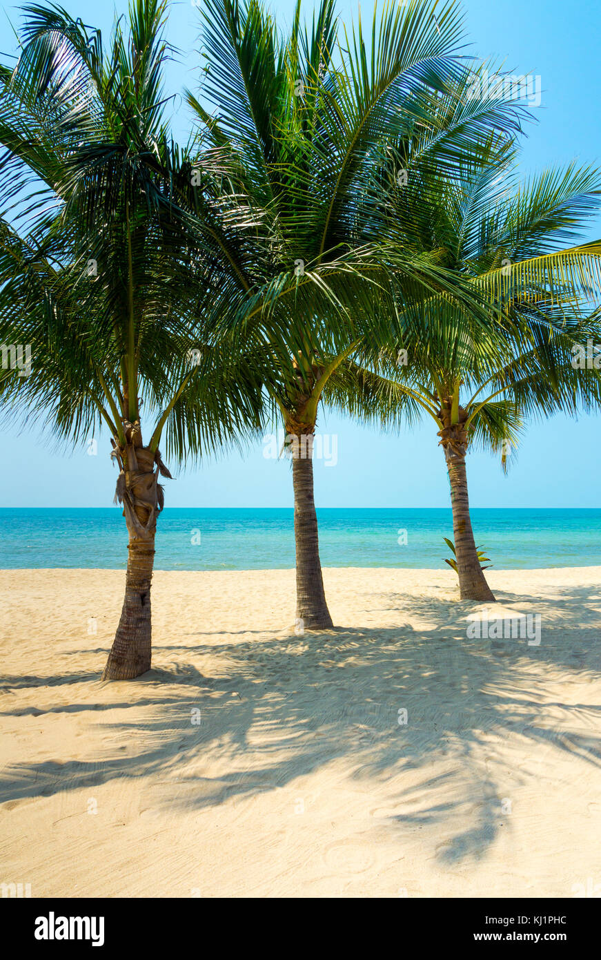 Untouched tropical beach Stock Photo - Alamy