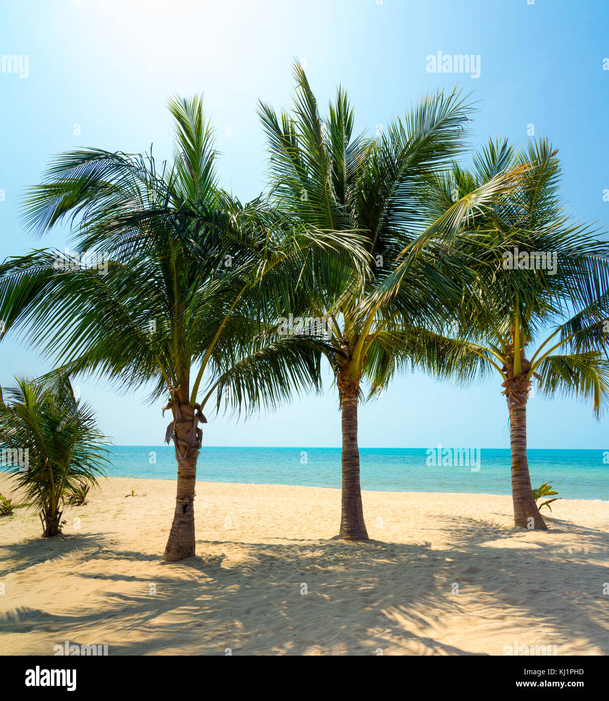 Untouched tropical beach Stock Photo - Alamy