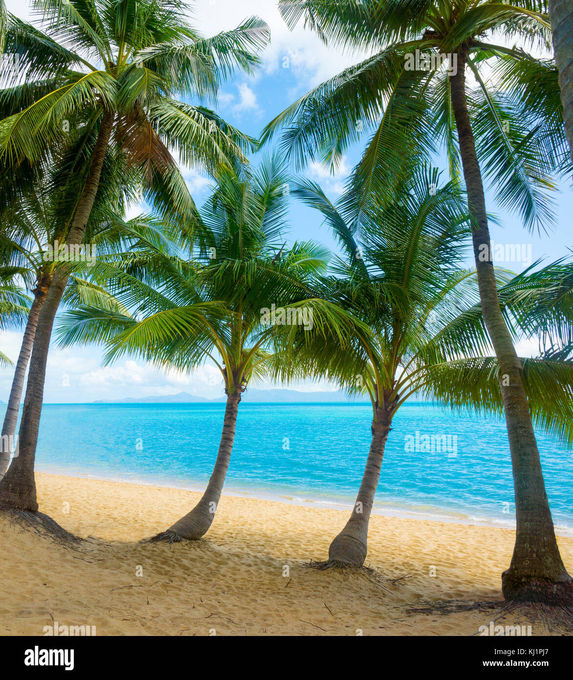 Untouched tropical beach Stock Photo - Alamy