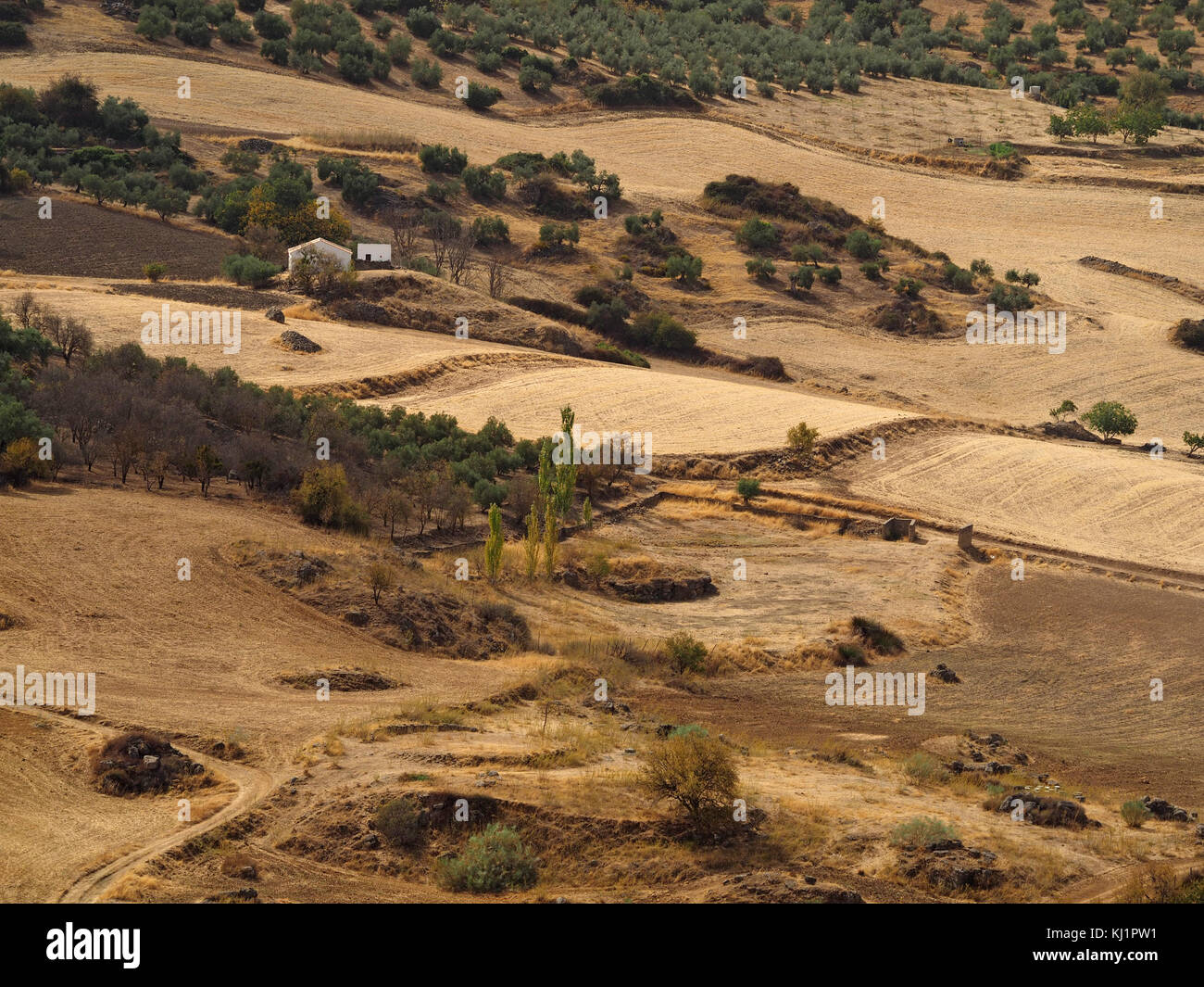elevated view over surrounding farmland on the fertile plain from the ...