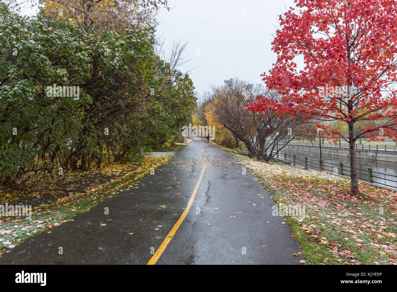 Winter Scenes, Ottawa, Canada Stock Photo - Alamy