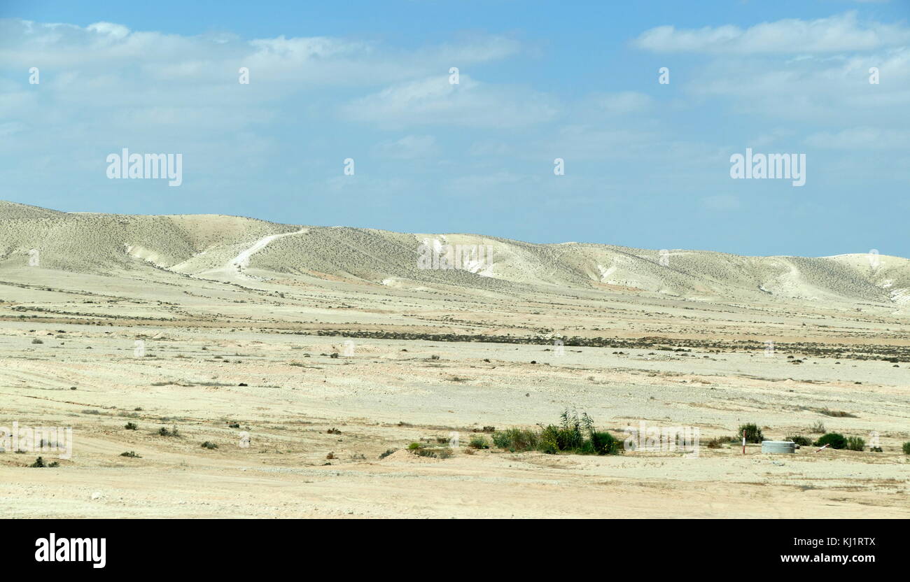 Wadi (dry river bed), and sand dunes in the Negev Desert, Southern ...