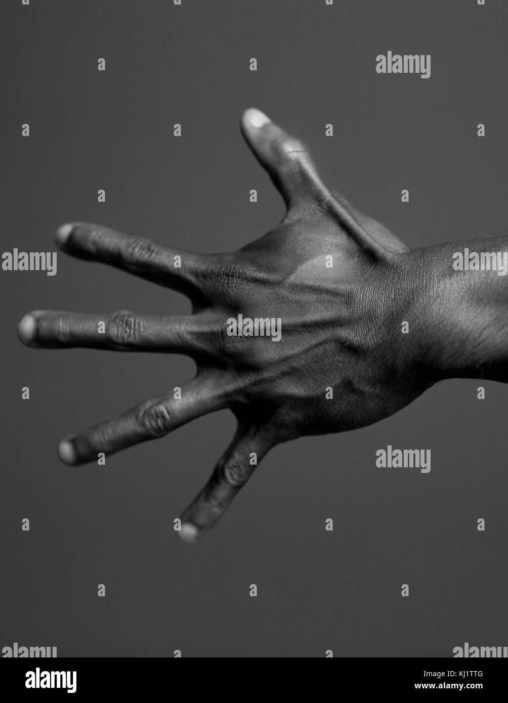 Muscles of the human hand Black and White Stock Photos & Images - Alamy