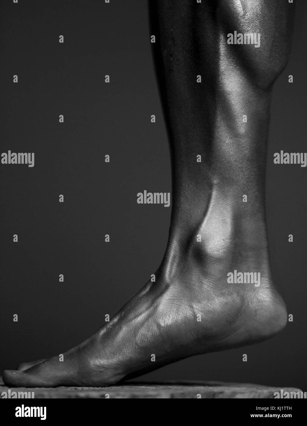 Human Body Leg and Foot in Black and White Stock Photo - Alamy