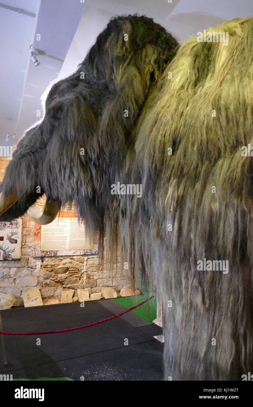 Model of a life-size mammoth. The mammoth is any extinct genus ...