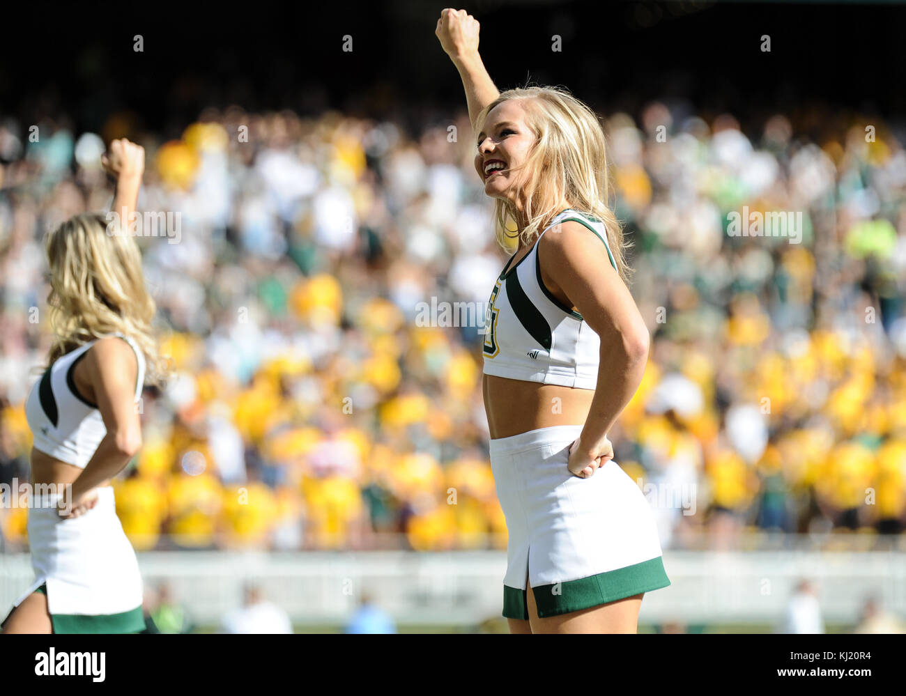 Waco, Texas, USA. 18th Nov, 2017. Baylor Bears cheerleaders celebrate a ...