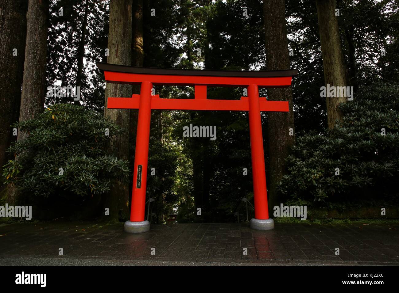 Hakone, Japan. 21st Nov, 2017. One red torii gate entrance to the ...