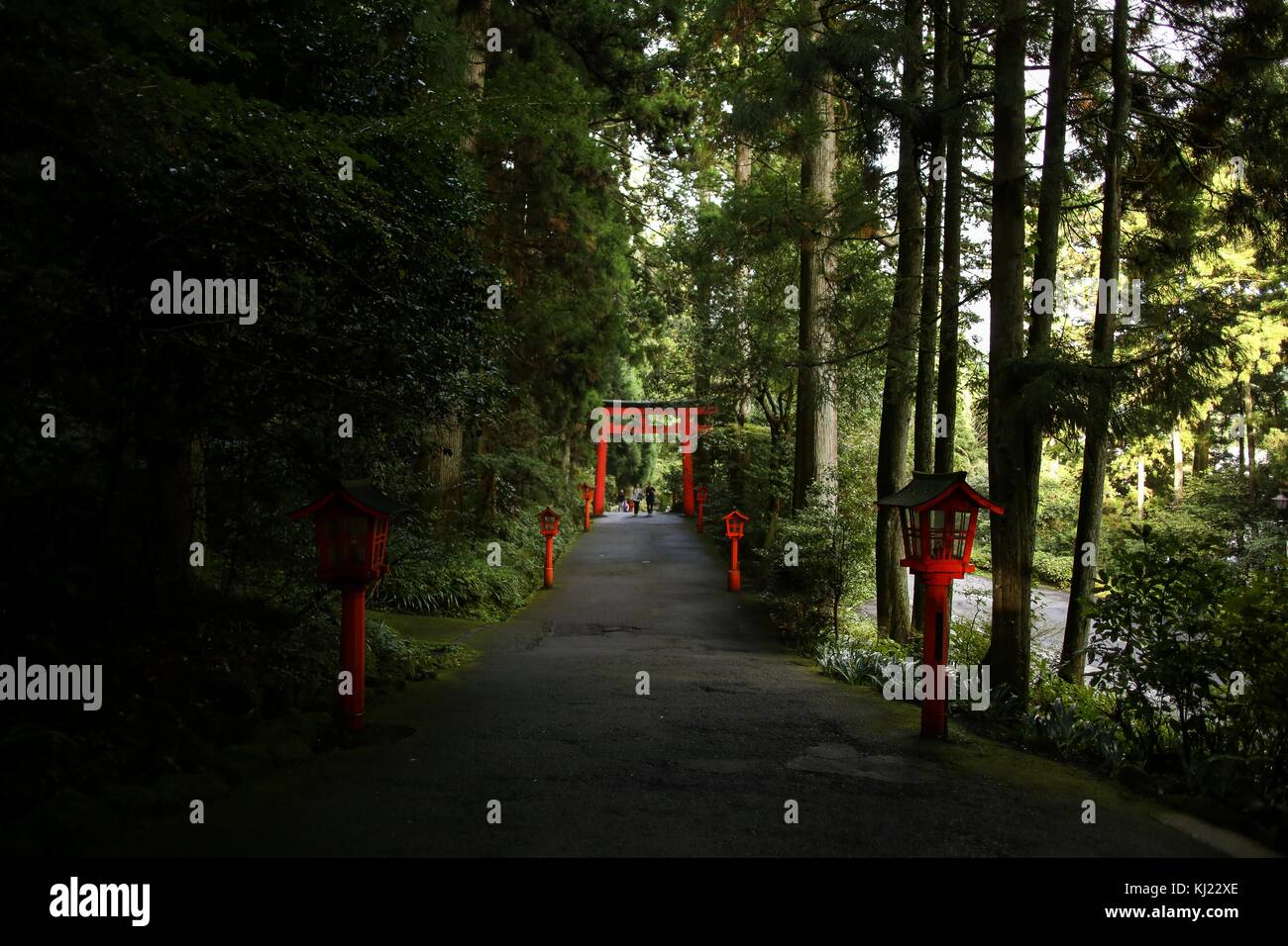 Hakone, Japan. 21st Nov, 2017. One red torii gate entrance to the ...