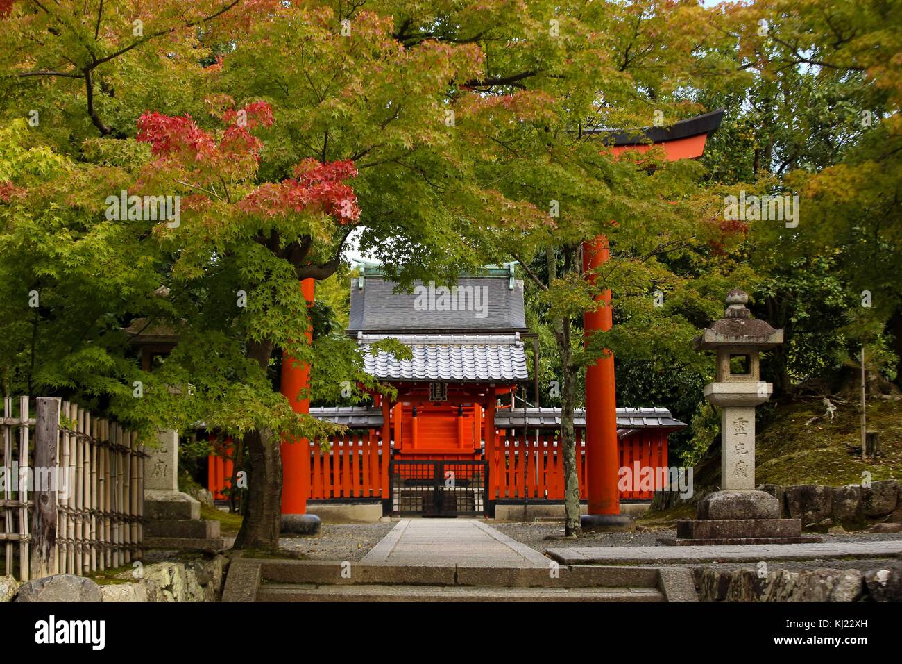 Kyoto, Japan. 21st Nov, 2017. A red building and torii gate sit nestled ...