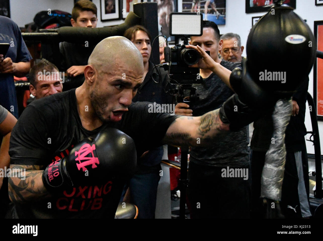Ca. 20th Nov, 2017. Doing his last SoCal media day workout Miguel Cotto ...