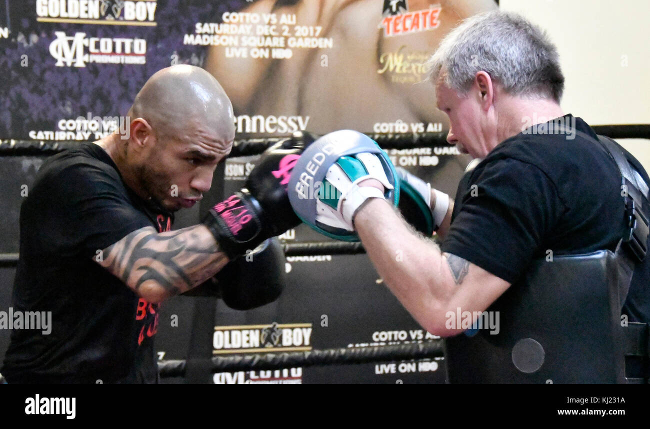 Miguel Cotto will be fighting Sadam Ali on December 2nd at Madison ...