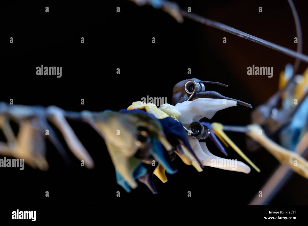 Fire burned the city of Haifa and its forests on November of 2016 Stock ...