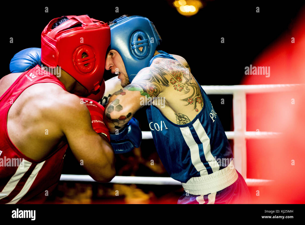 Chengdu, Chengdu, China. 19th Nov, 2017. Chengdu, CHINA-19th November ...