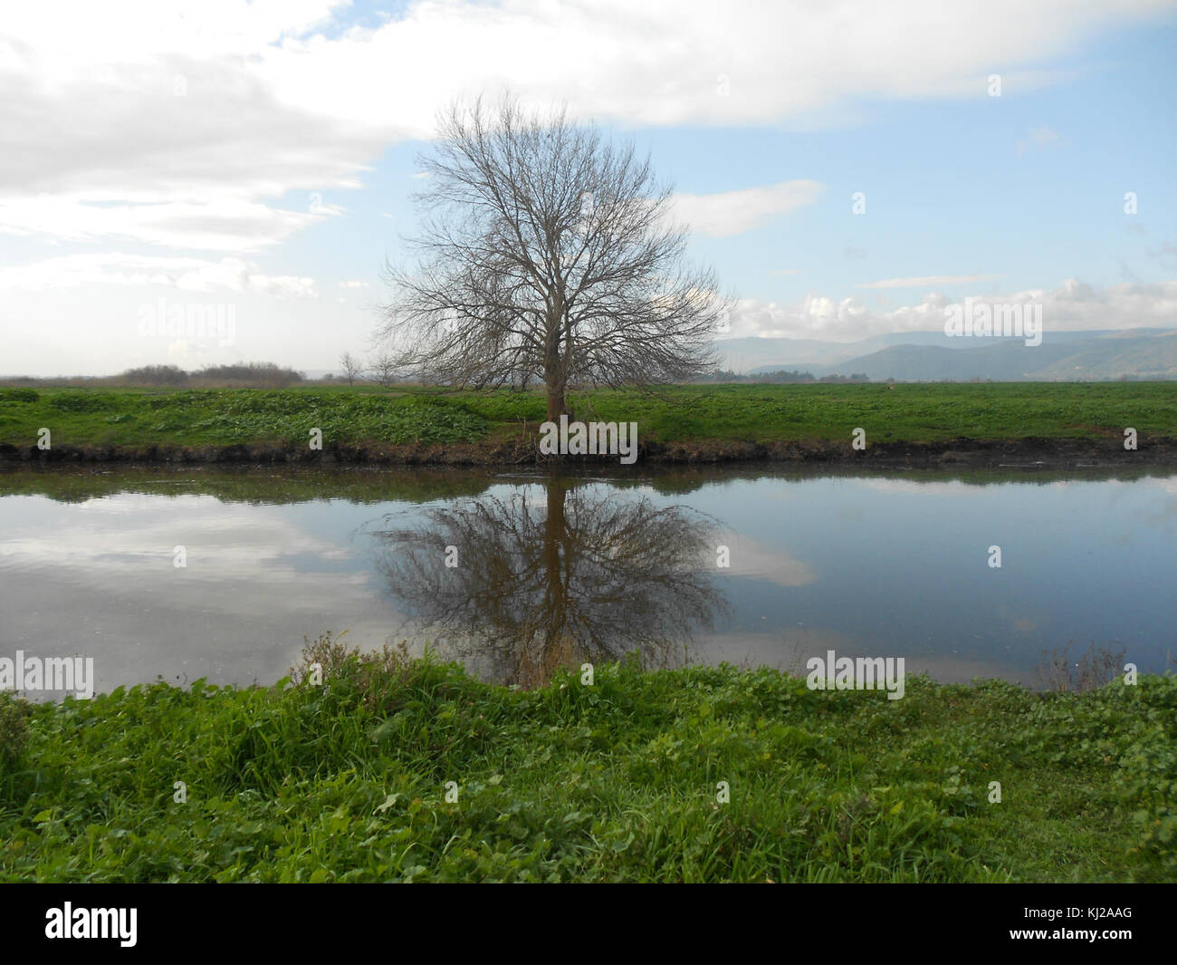 Israel 30962 Wildlife and Plants of Israel Stock Photo - Alamy