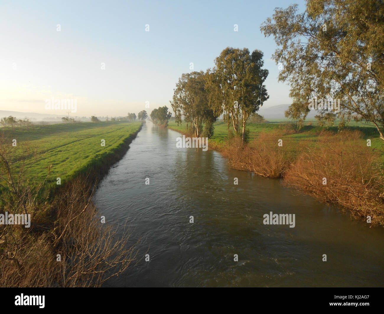Israel 30960 Wildlife and Plants of Israel Stock Photo - Alamy