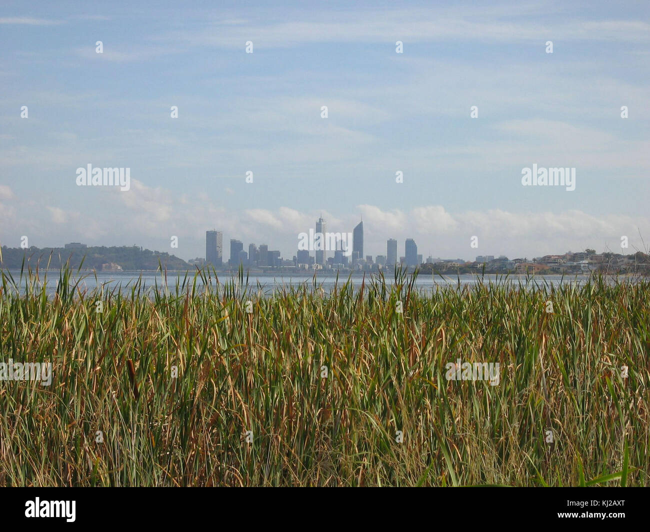 River with reeds Stock Photo - Alamy