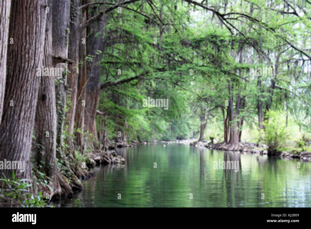 Rio ramos hi-res stock photography and images - Alamy