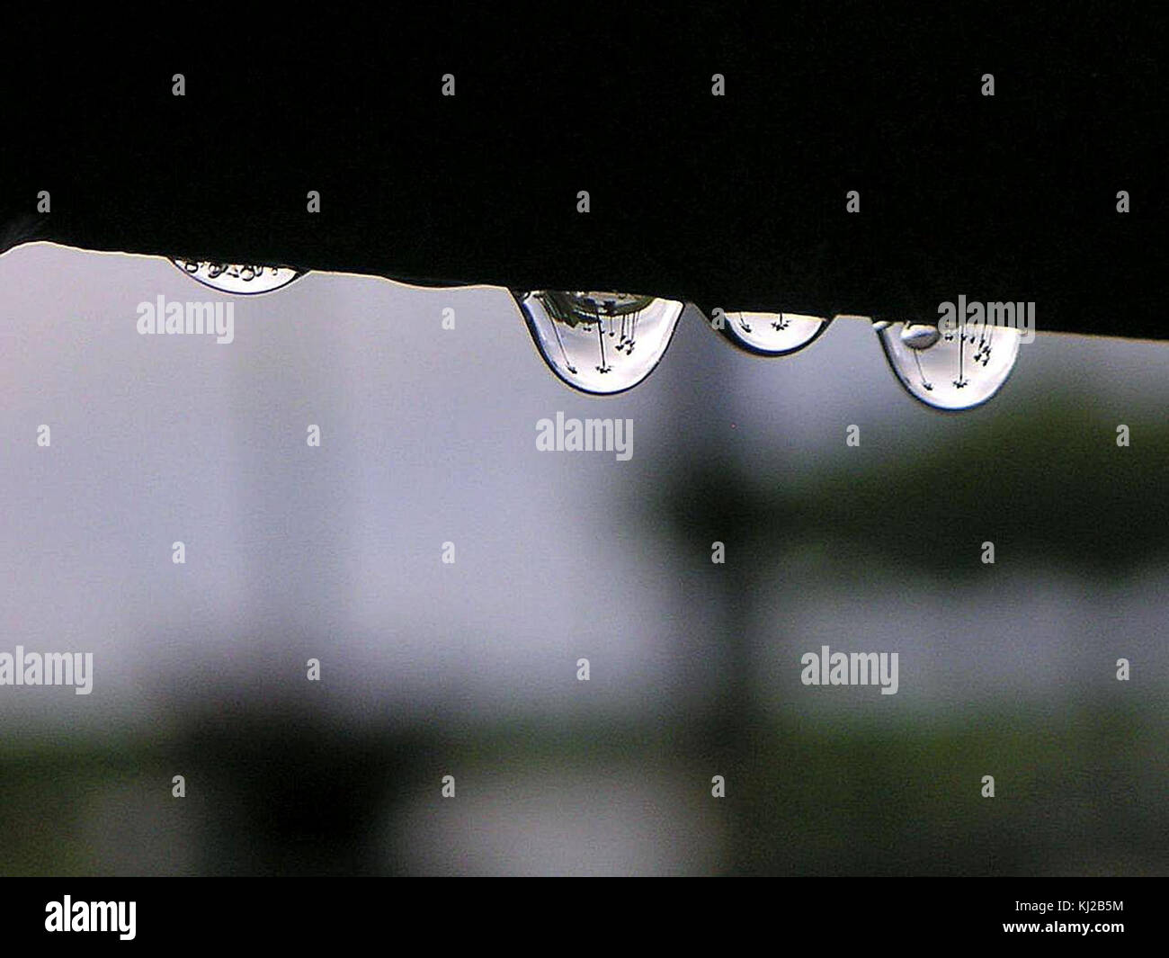 Saome rain drops in the morning Stock Photo - Alamy