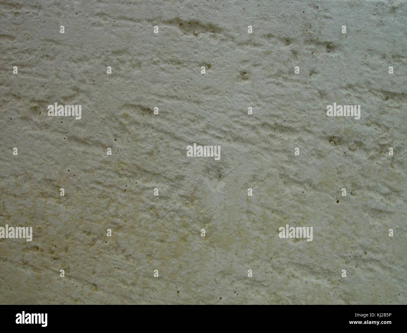 Sawn limestone texture Stock Photo - Alamy