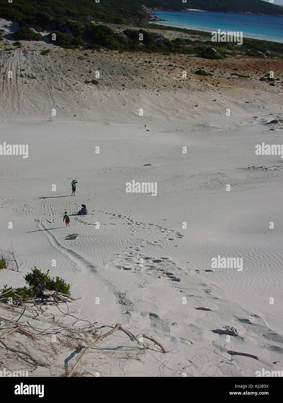 A close-up image of sand sliding blossoms, capturing the delicate ...