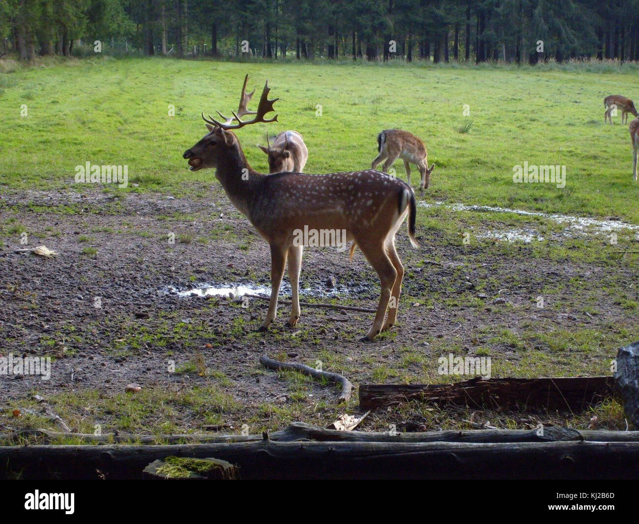 Environmental dama hi-res stock photography and images - Alamy