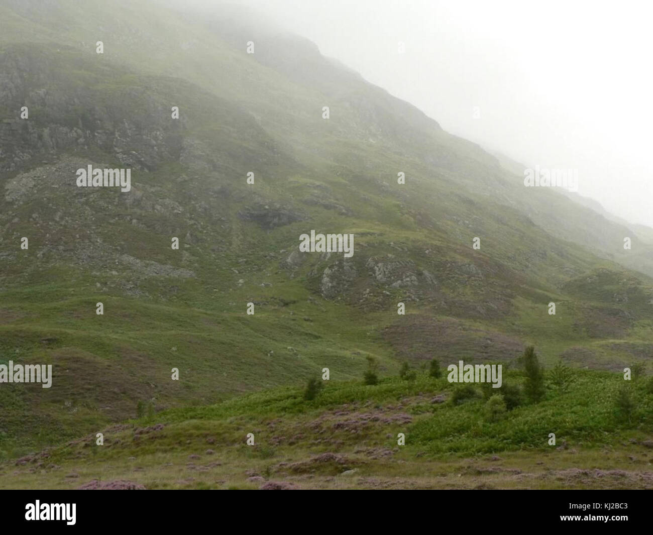 Scottish countryside field Stock Photo - Alamy