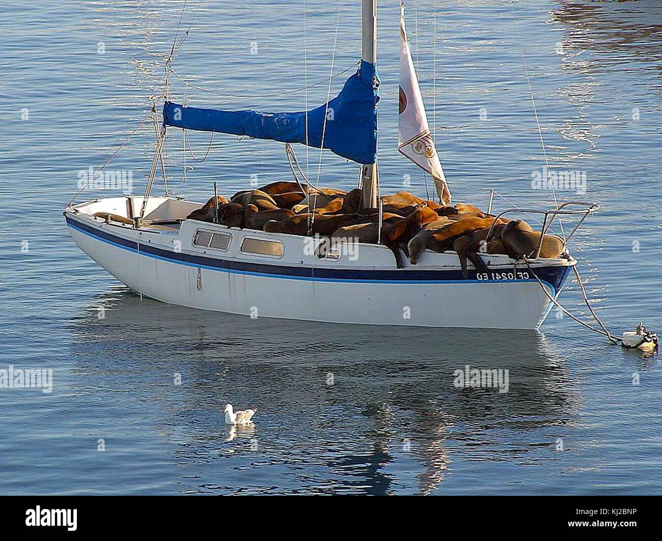 Ancient seal boat hi-res stock photography and images - Alamy